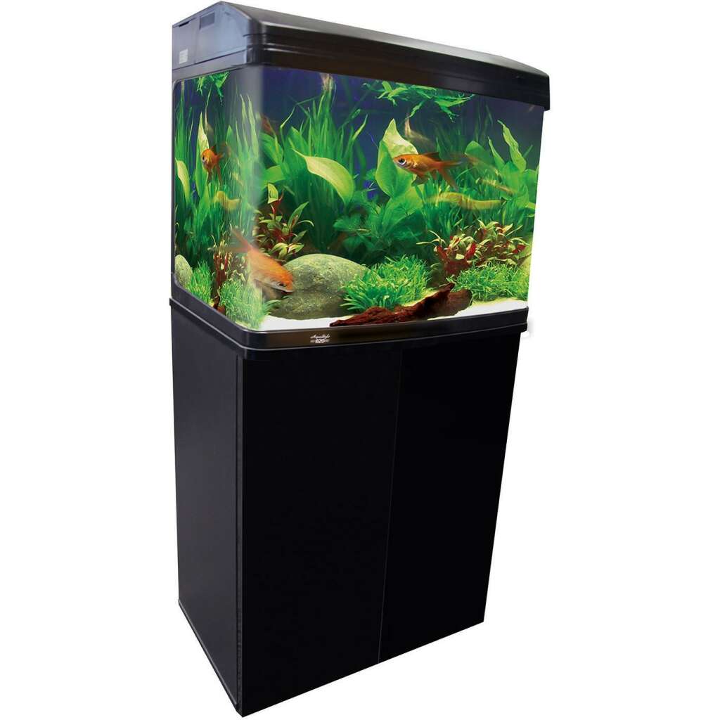 AquOne AquaStyle 620 – 90L Curved Glass Aquarium – The Pet & Hobby Shop ...