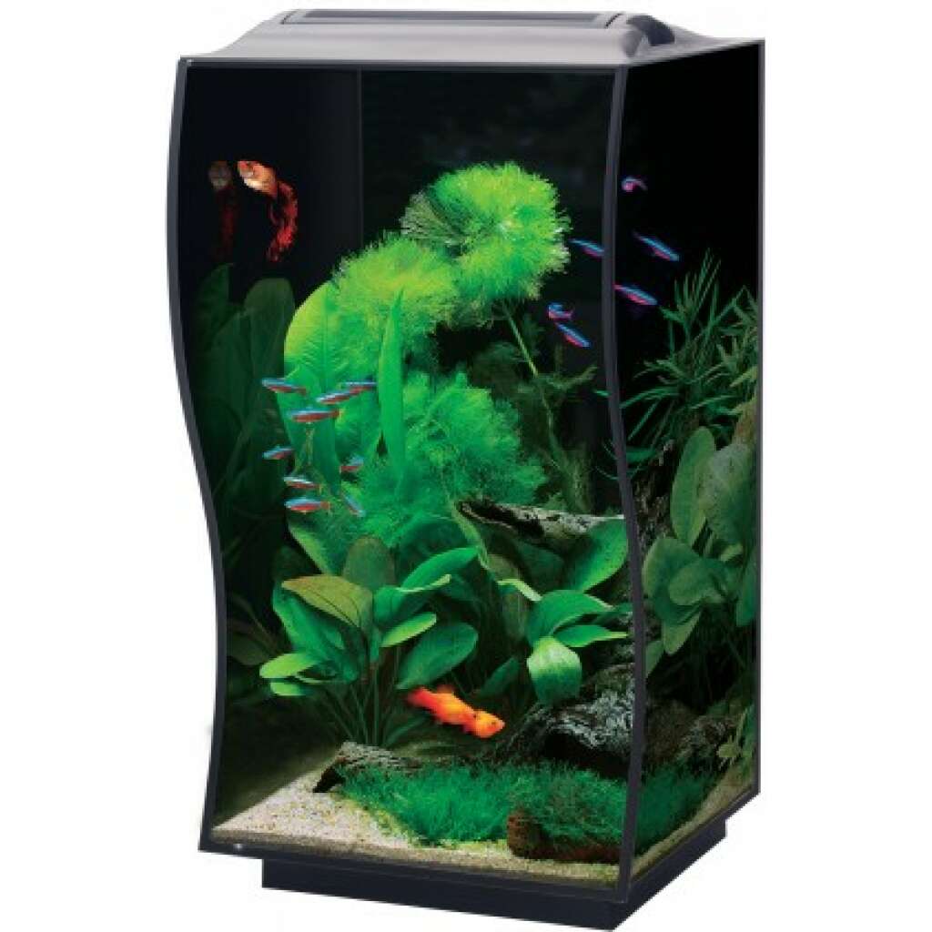 Bioscape CURVE Nano Aquarium – The Pet & Hobby Shop Wangaratta