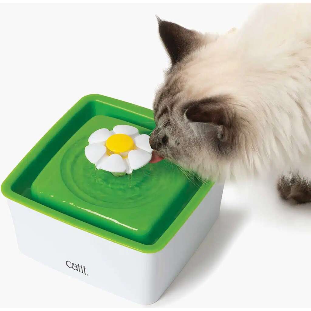 Catit Mini Flower Fountain – The Pet & Hobby Shop Wangaratta