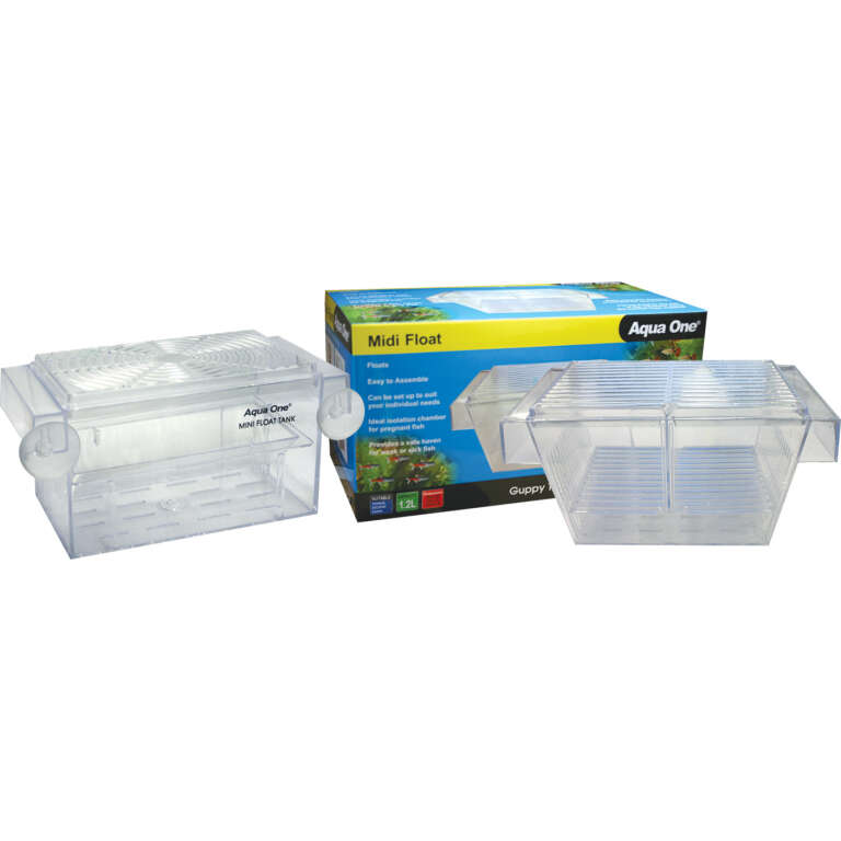 Aqua One Midi Float Guppy Tank – Medium Breeder Box – The Pet & Hobby ...